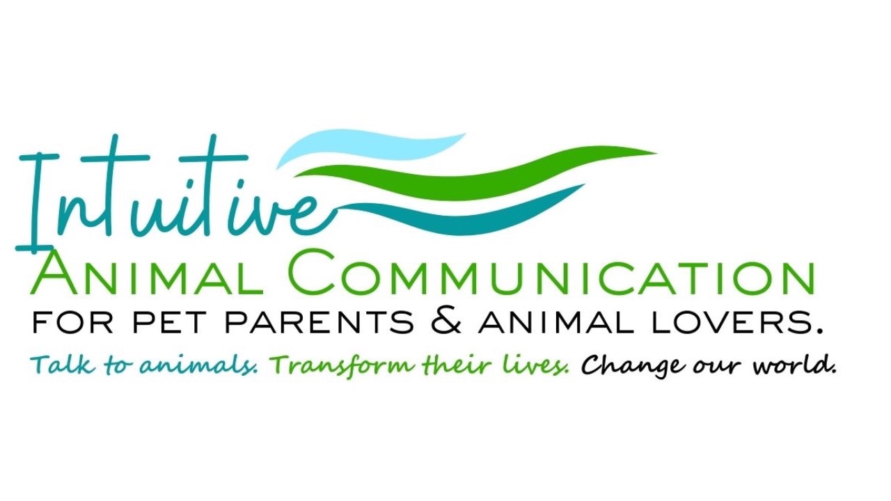 Intuitive Animal Communication for pet parents & animal lovers