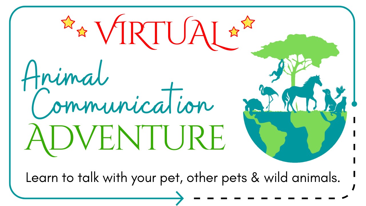 VIRTUAL Animal Communication Adventure Pet + Wild