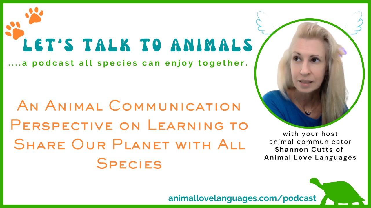 Animal Communication to Share Planet Earth