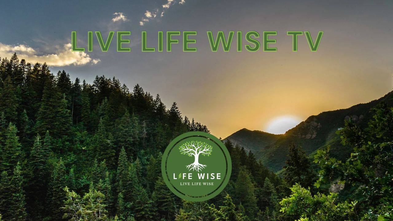 Live Life Wise TV