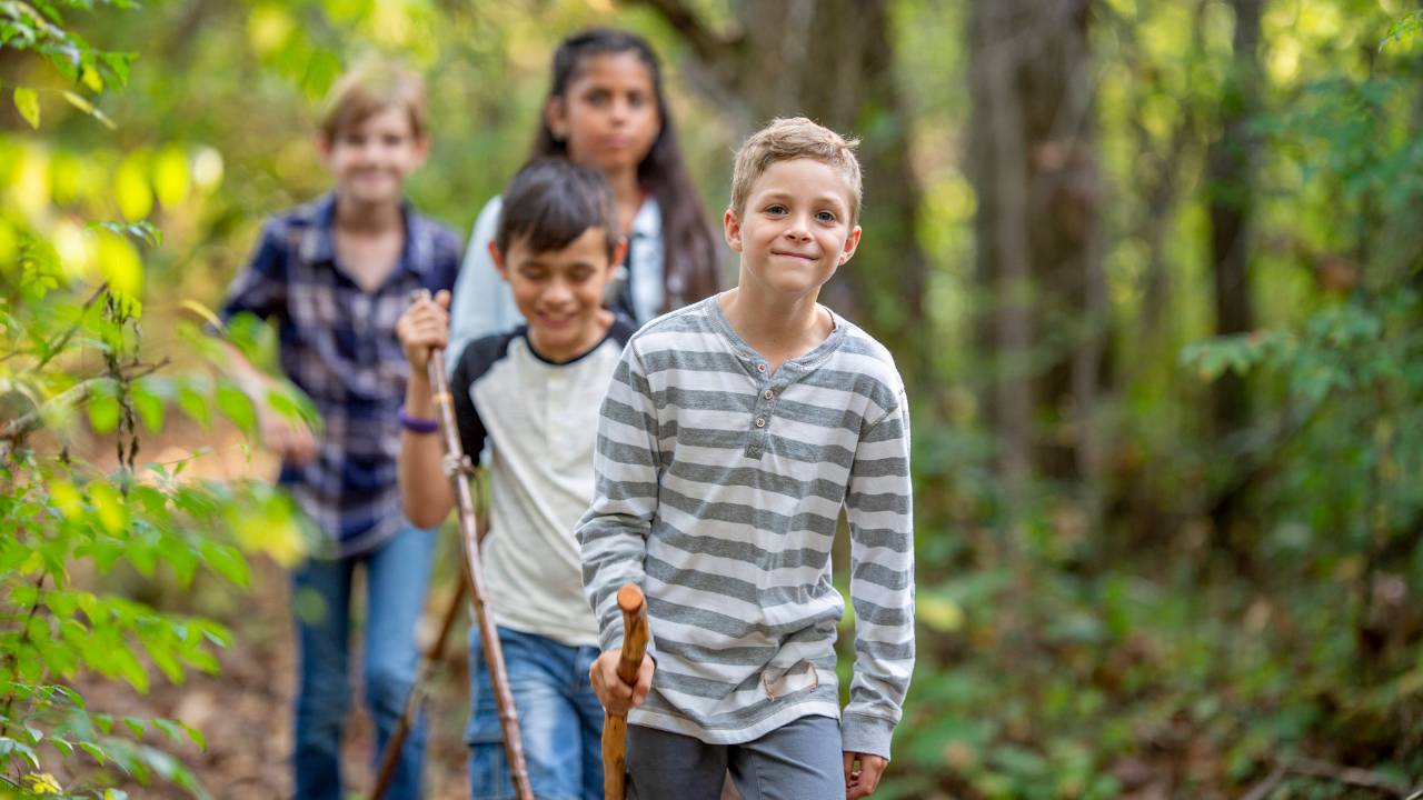 Forest Schools: The Call of the Wild