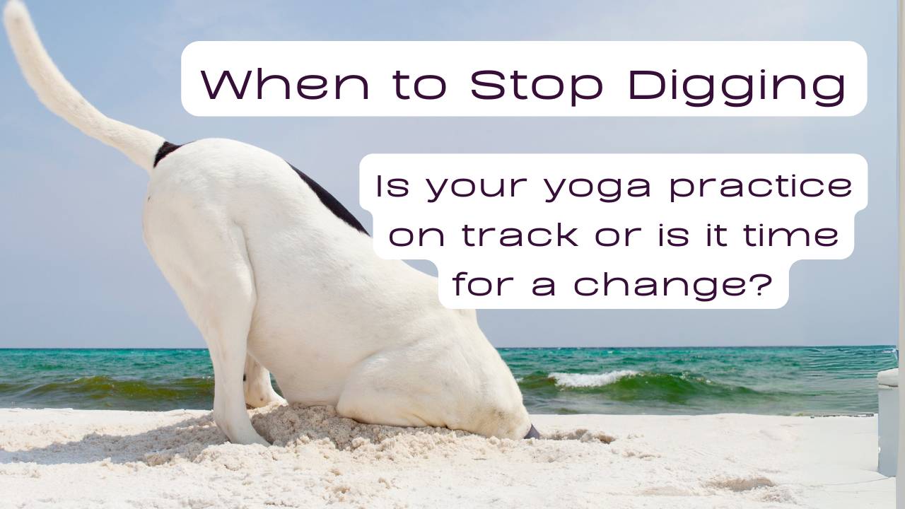 When to stop digging your well