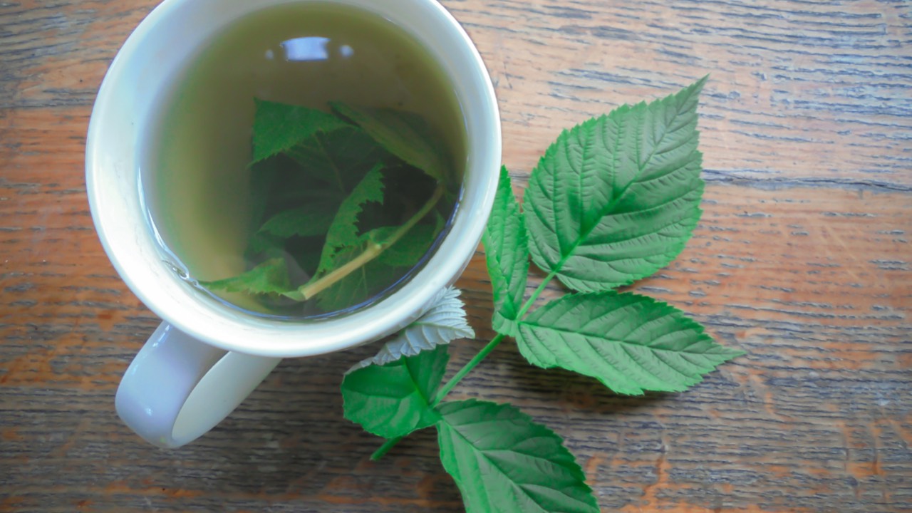 Can Red Raspberry Leaf Tea Induce Labor?