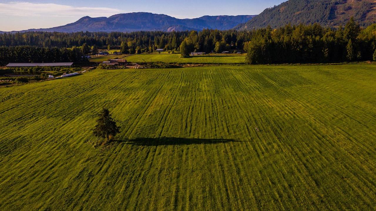 Farm at Rooted Northwest in Western Washington