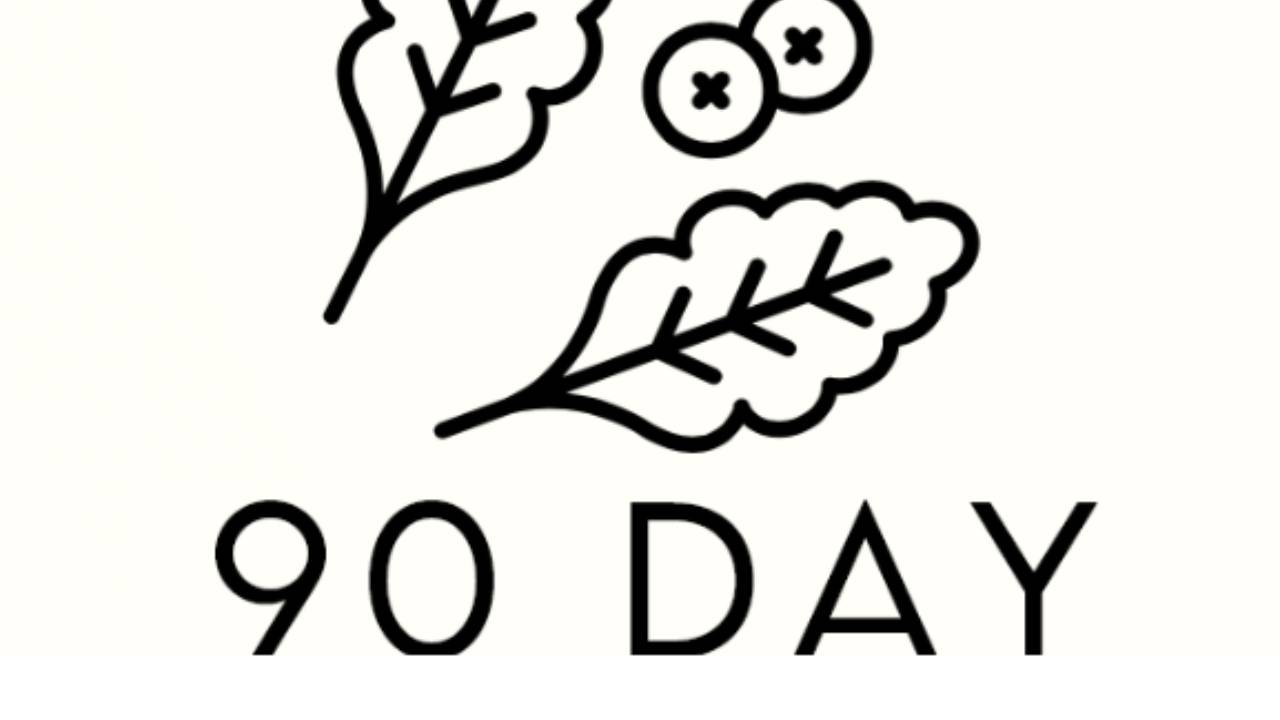 90 Day Reset