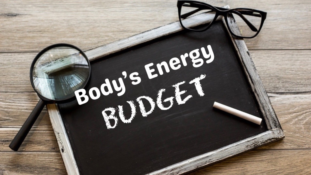 Mastering Your Body's Energy Budget - A Road to Menopause Wellness