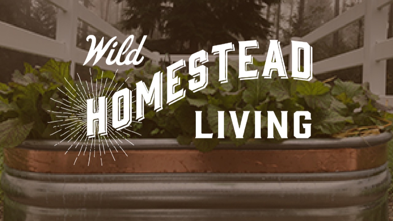 Welcome to Wild Homestead Living!