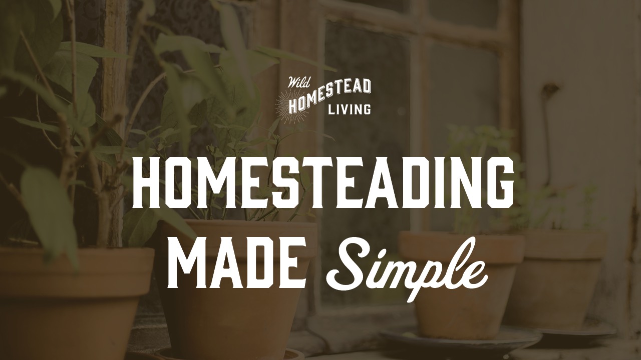 Homesteading Made Simple Mini Course