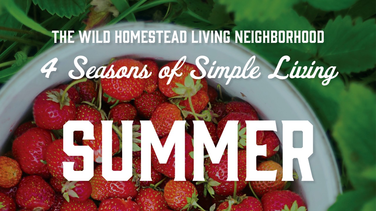 The Wild Homestead Living Neighborhood is OPEN (for a limited time)