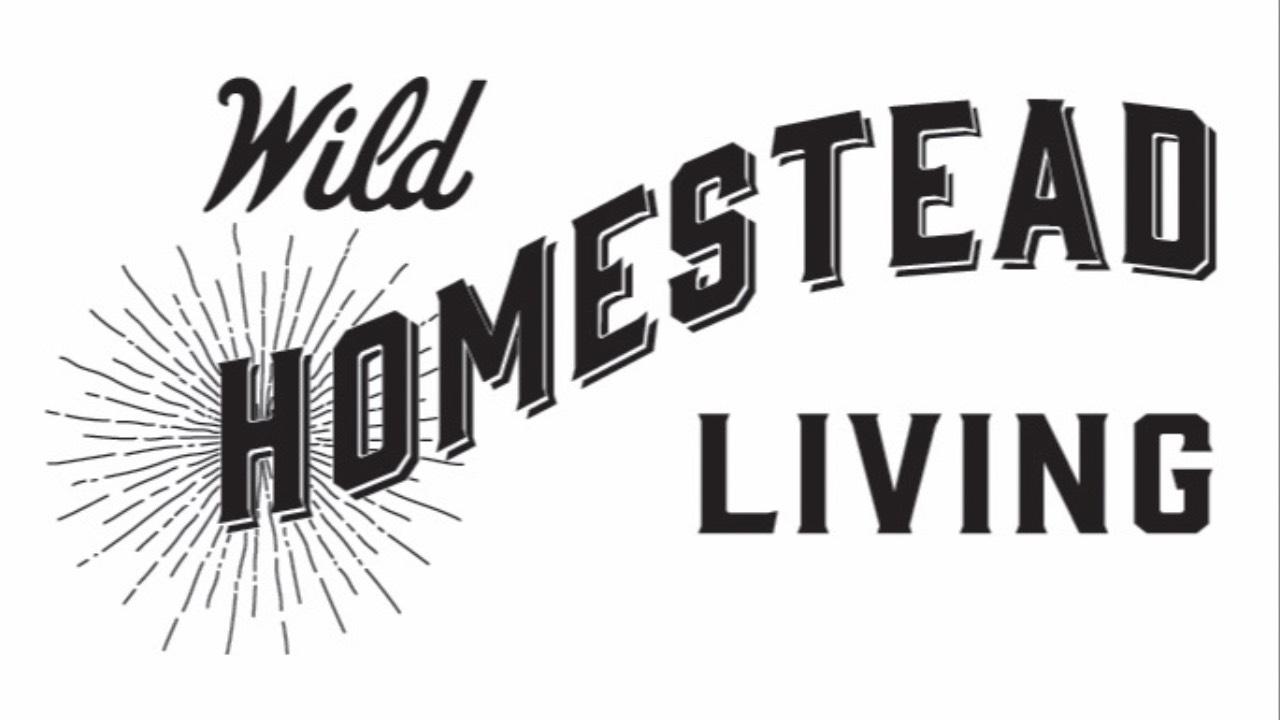 Welcome to Wild Homestead Living!
