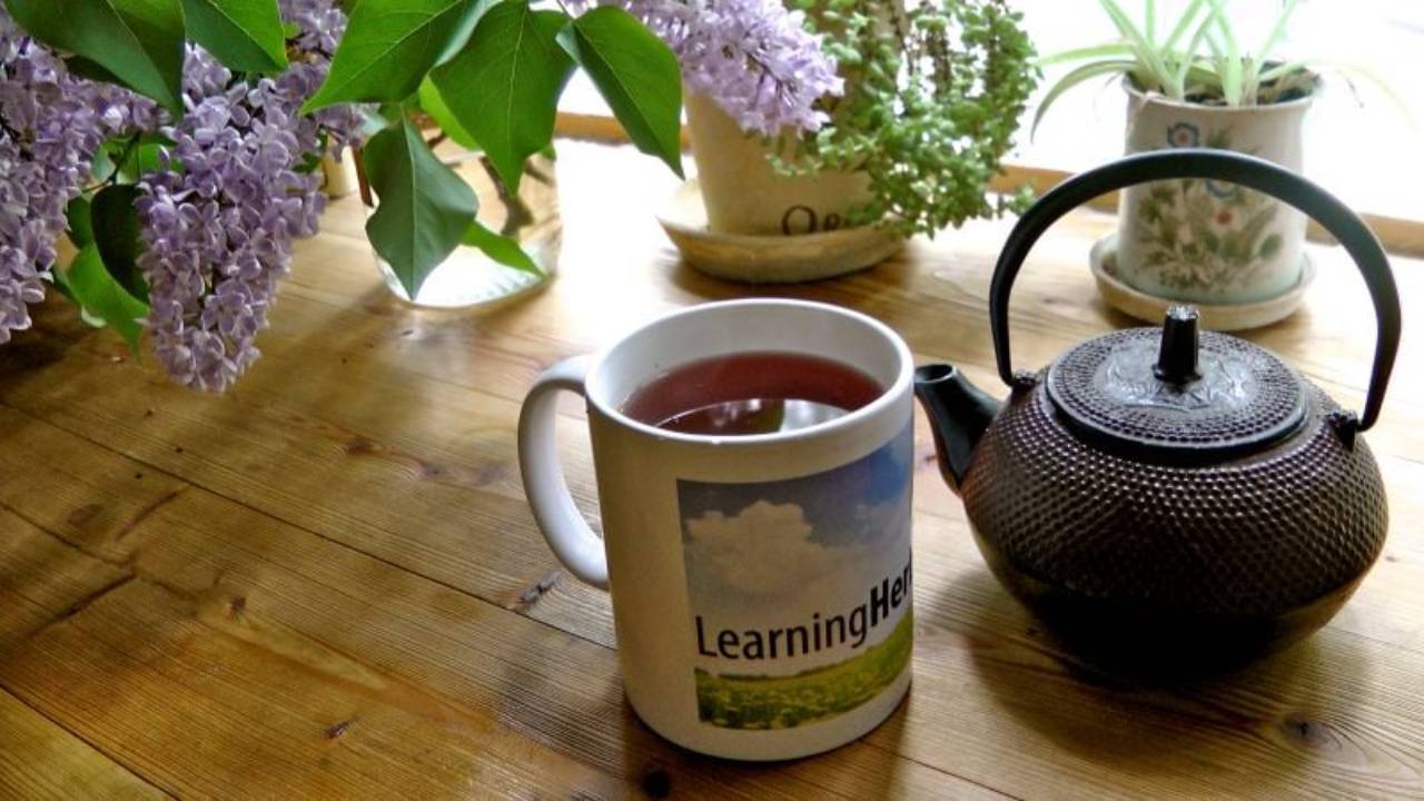 Tasty Tonic Tulsi Tea