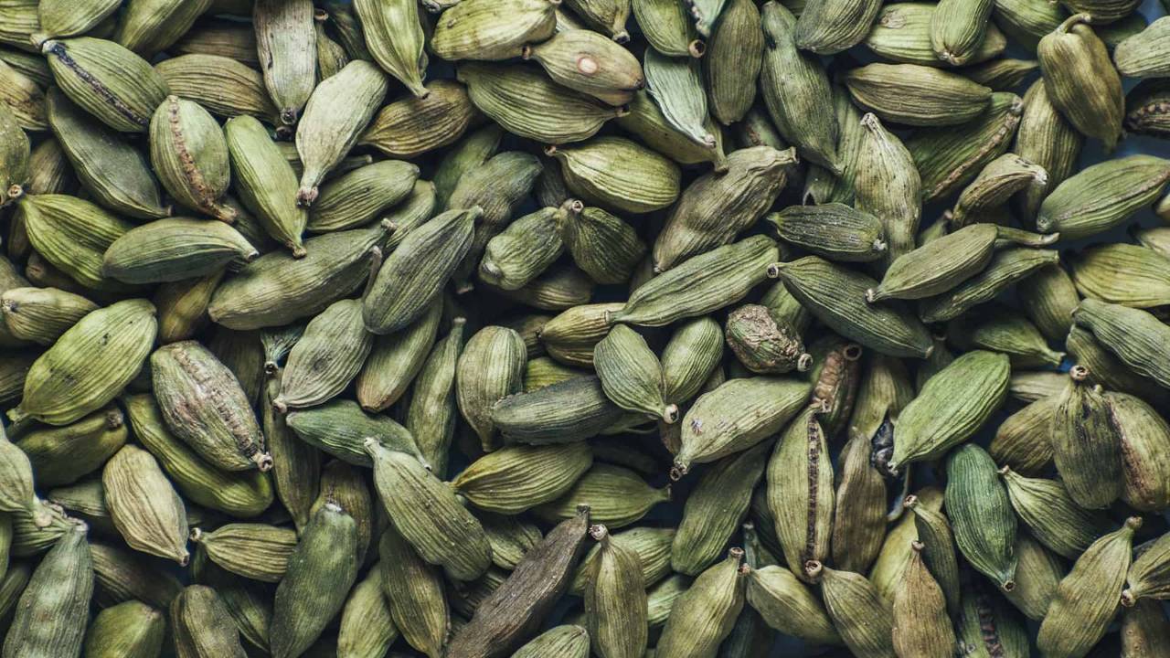 Cardamom Uses and Plant Profile