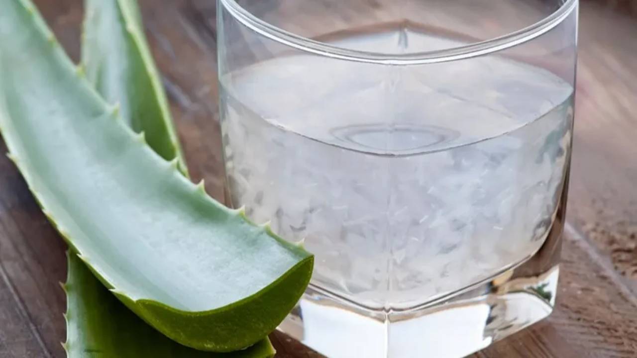 How to Harvest and Freeze Aloe Vera Gel