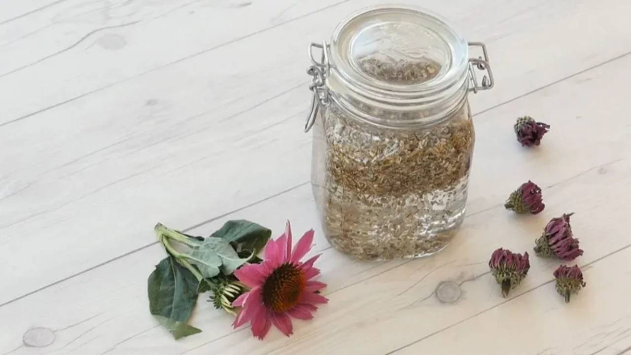 How to Strain Tinctures: 2 Easy Ways