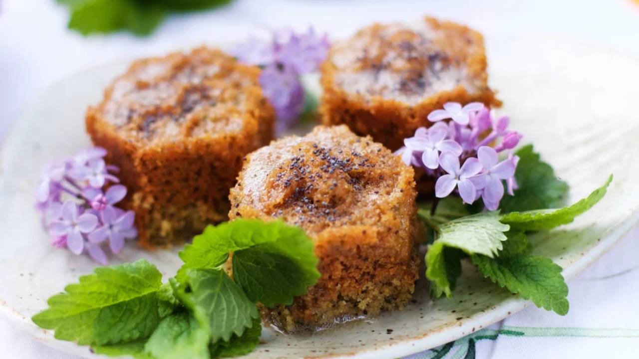 Gifts of Lemon Balm (Plus a Lemon Balm Cake Recipe)