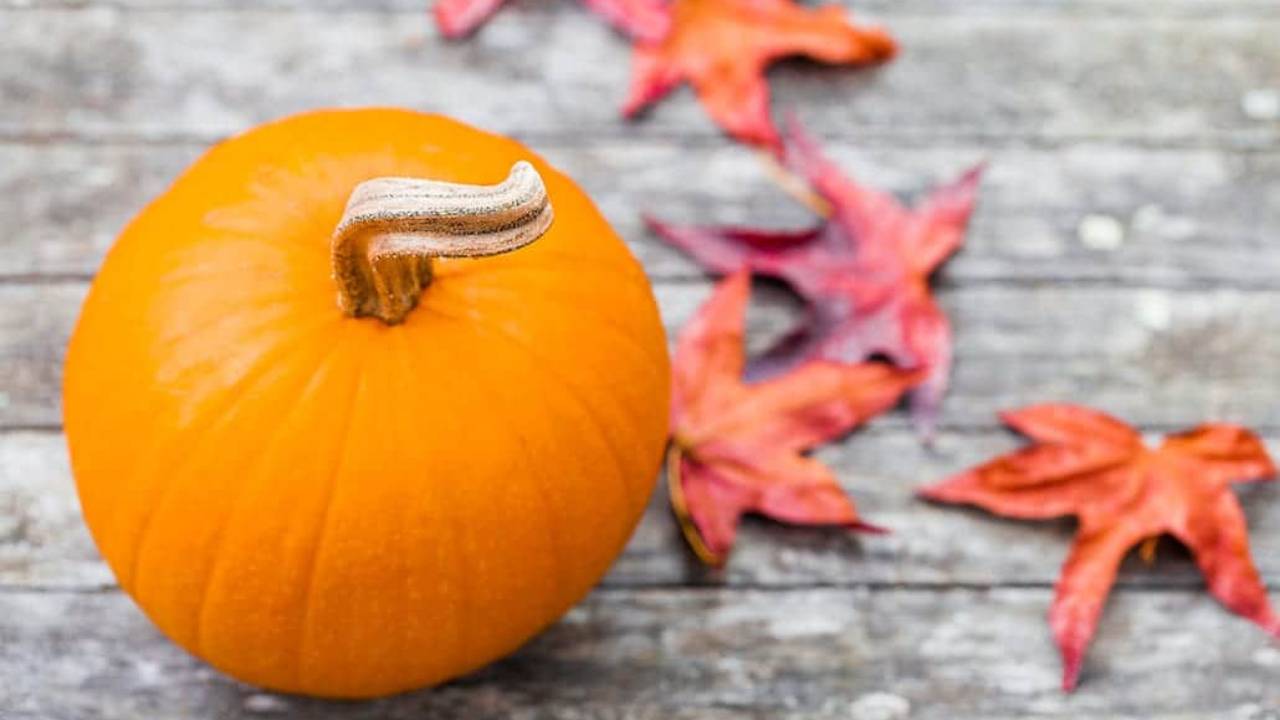 5 Healthy Pumpkin Recipes to Make This Fall