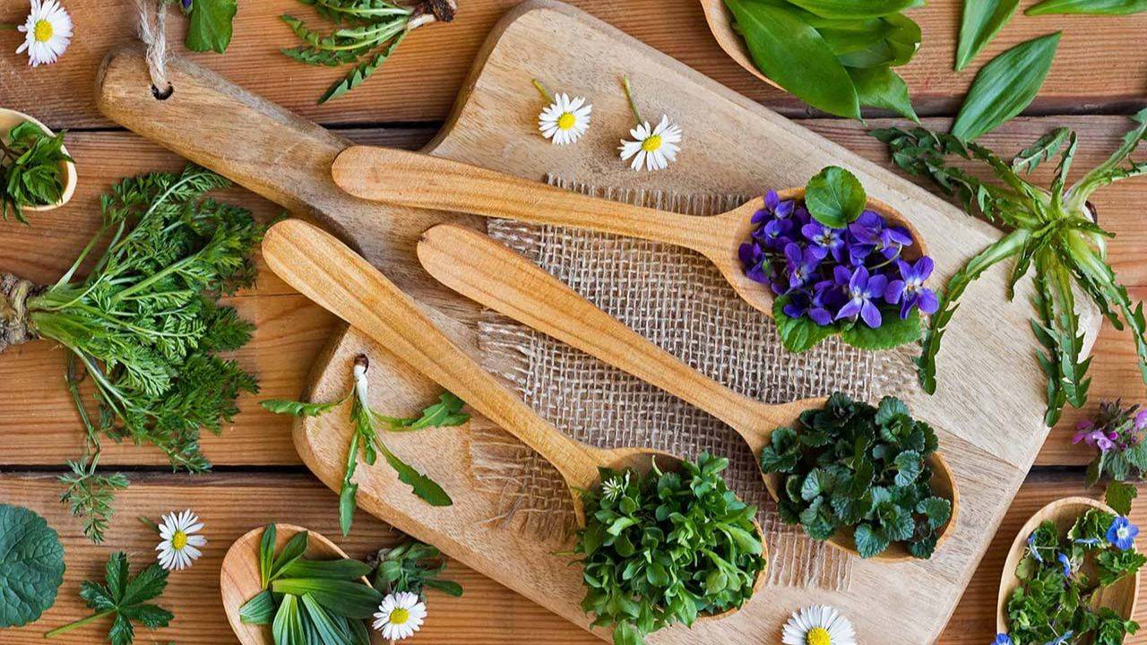 Wild Spring Greens 101