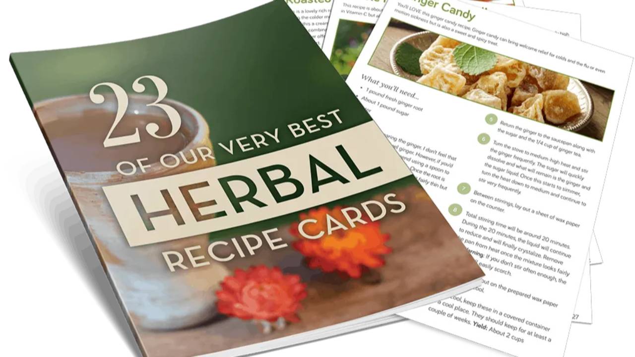 Free Herbal Book: Our 23 Best Remedies Download