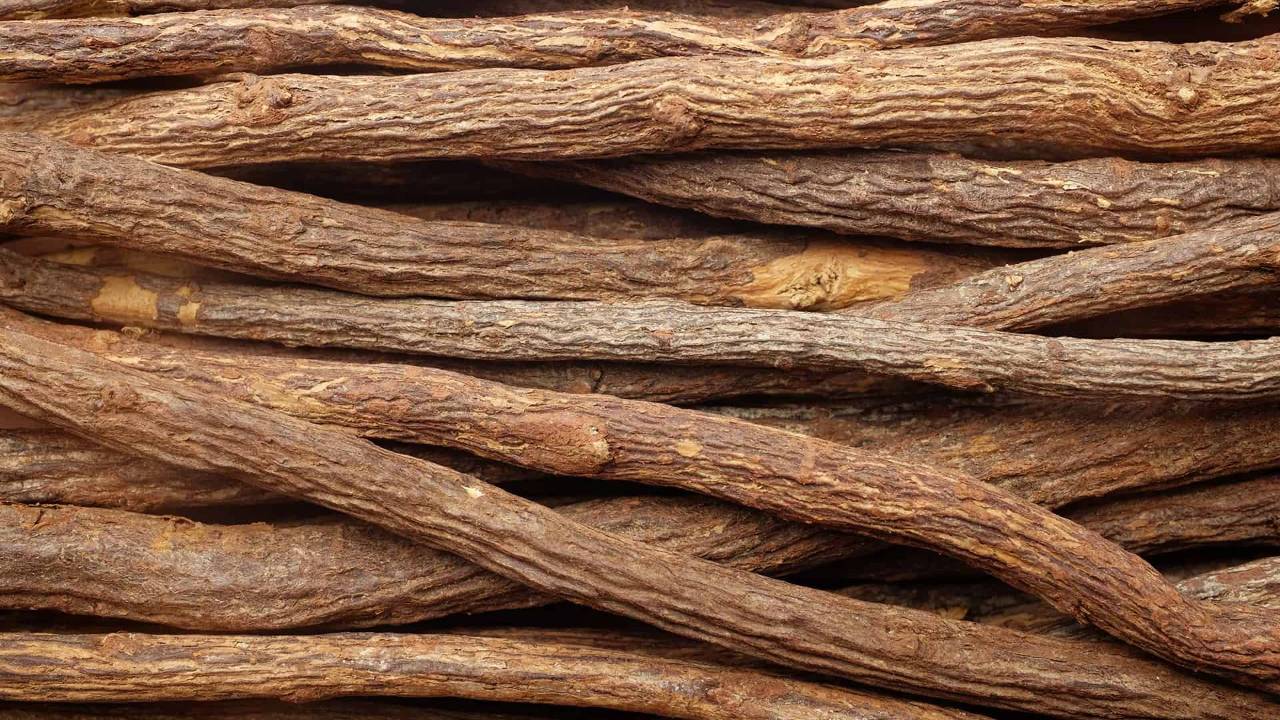 Licorice Uses and Plant Profile