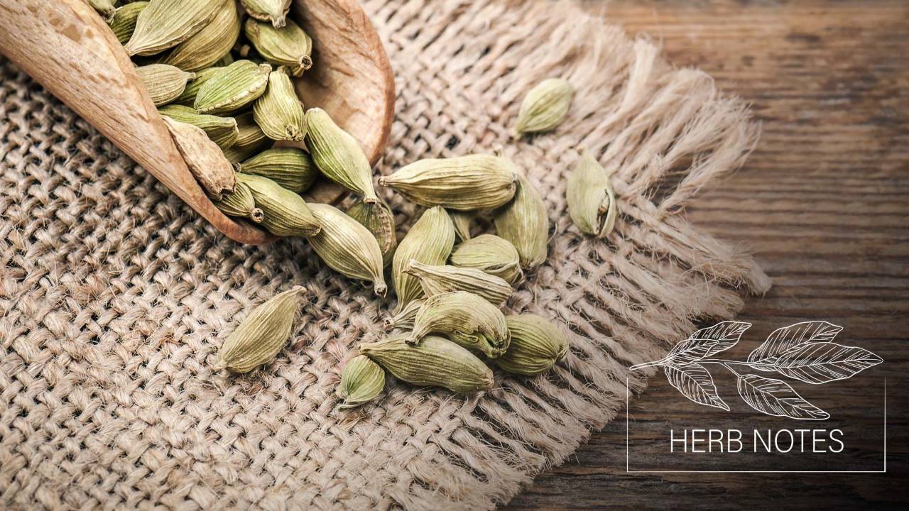 Herb Notes: The Benefits of Cardamom