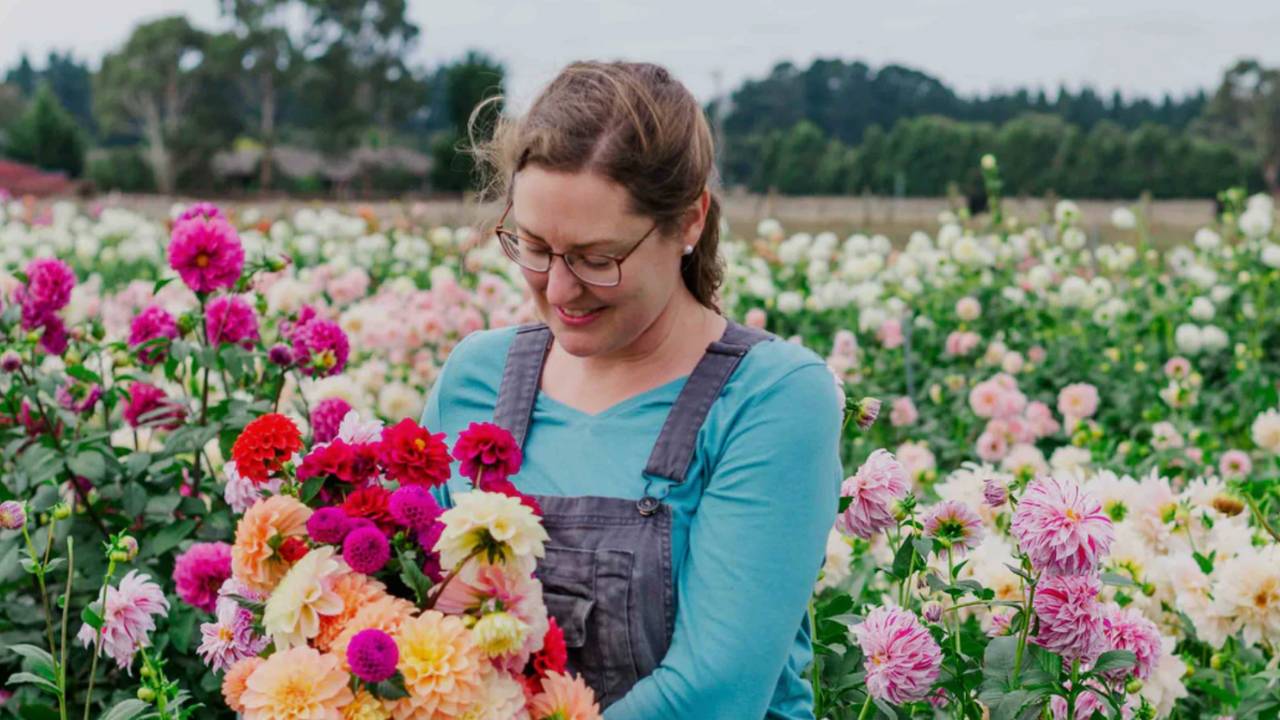 Breeding Beauty: Lessons from Growing and Breeding Dahlias with Lorelie ...
