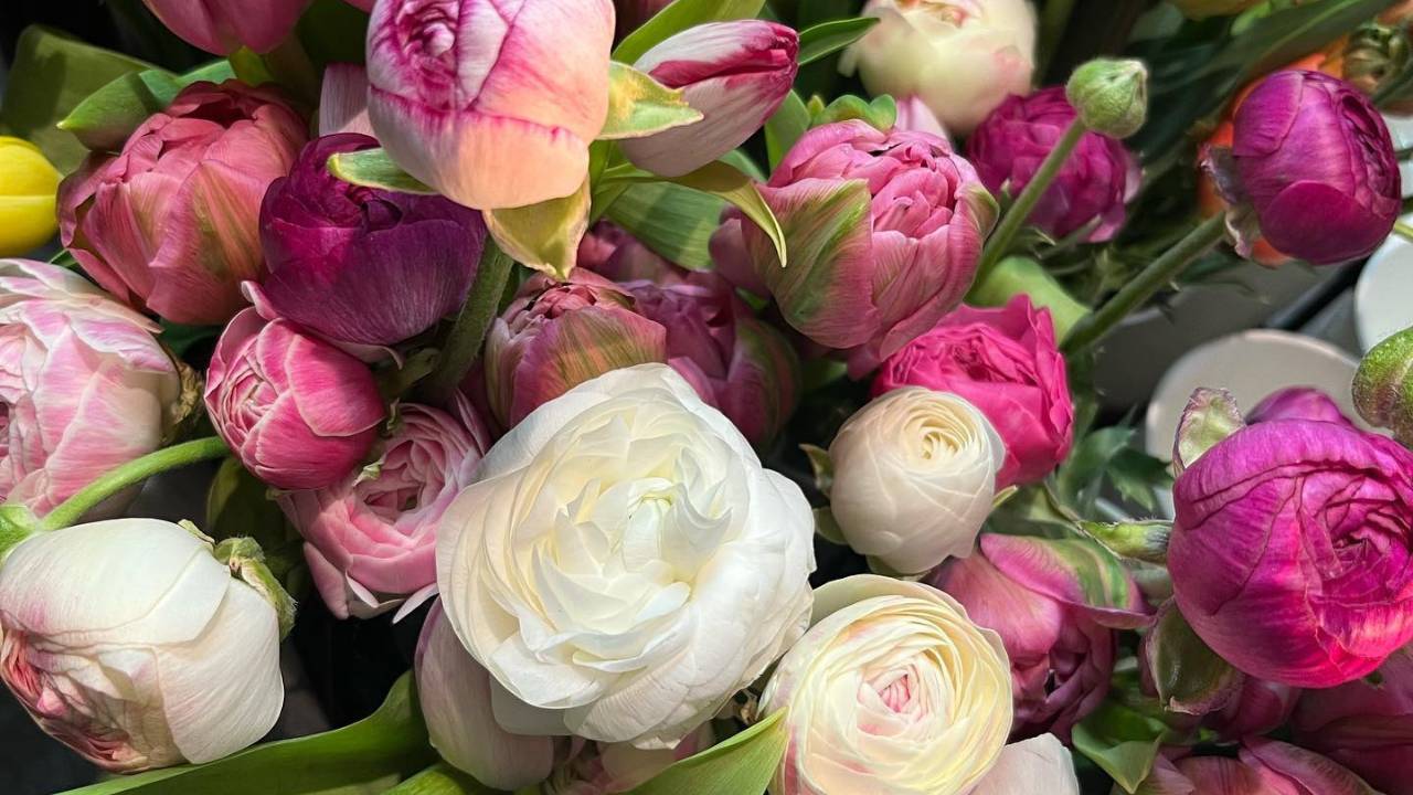 Overwintering Ranunculus in Zone 4B: My Journey and Lessons Learned