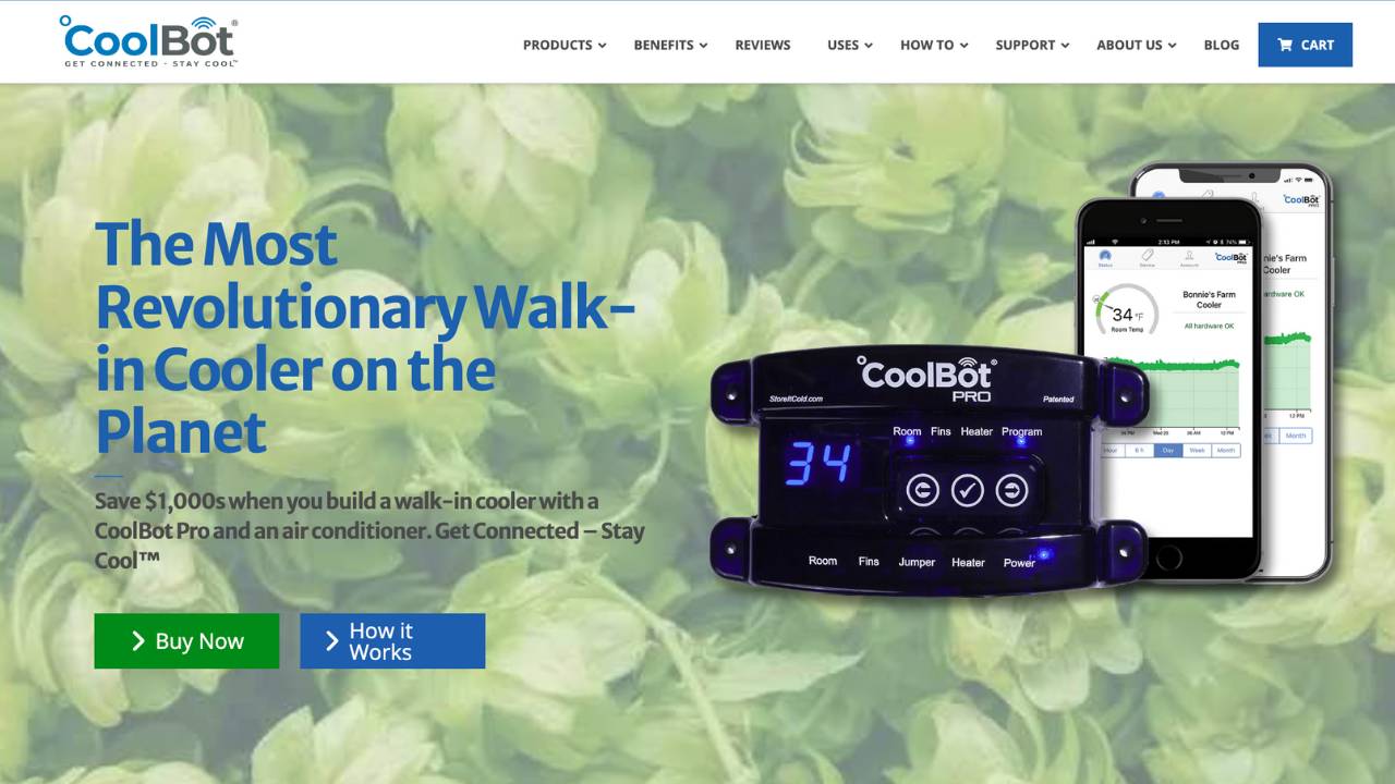 Efficient Flower Storage Solutions: Insights from CoolBot's Julia DeGennaro