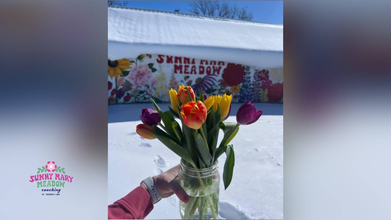 Spring Flower Farming: Lessons Learned and Techniques for Success