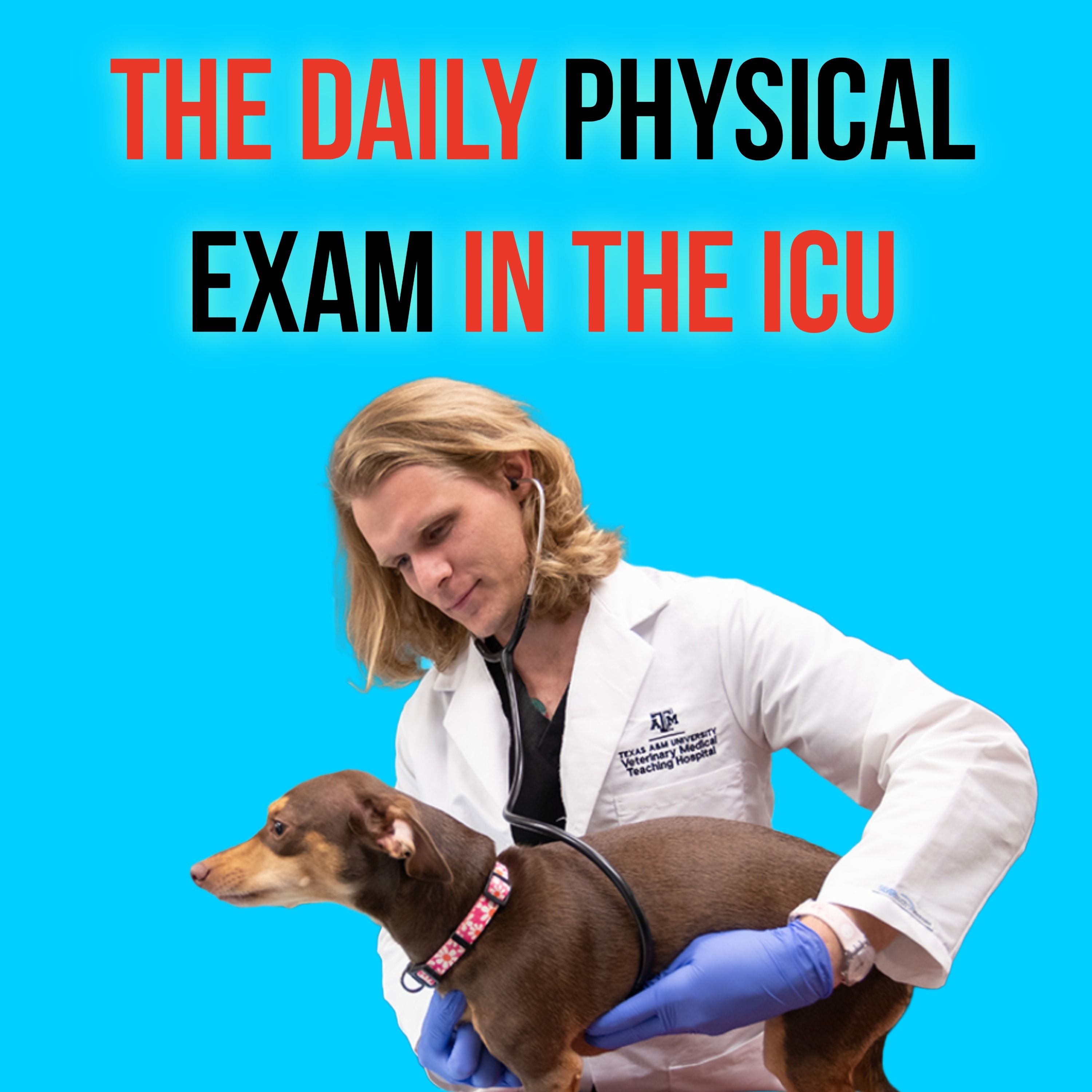 Episode 18: The Daily Physical Exam in the ICU - VetEmCrit: The ...