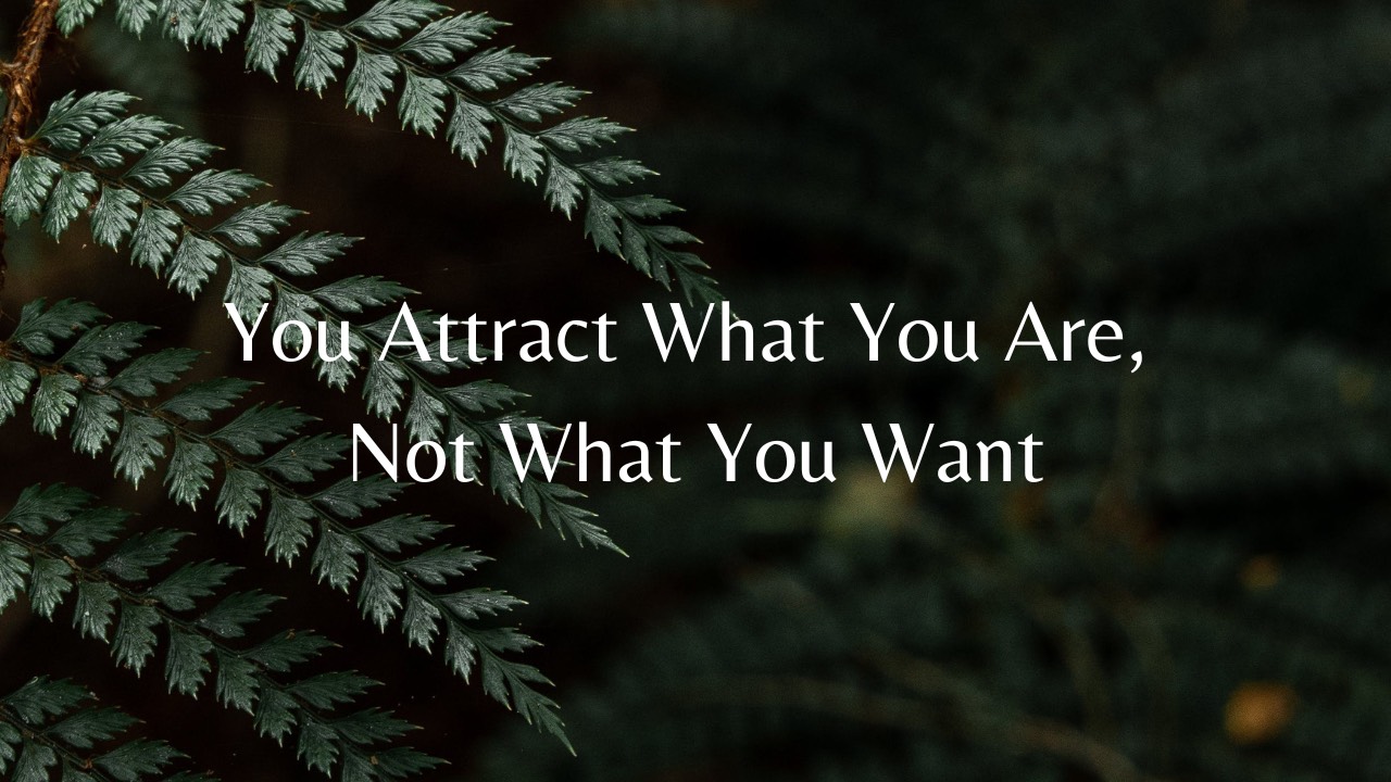 Issue #10 You Attract What You Are, Not What You Want