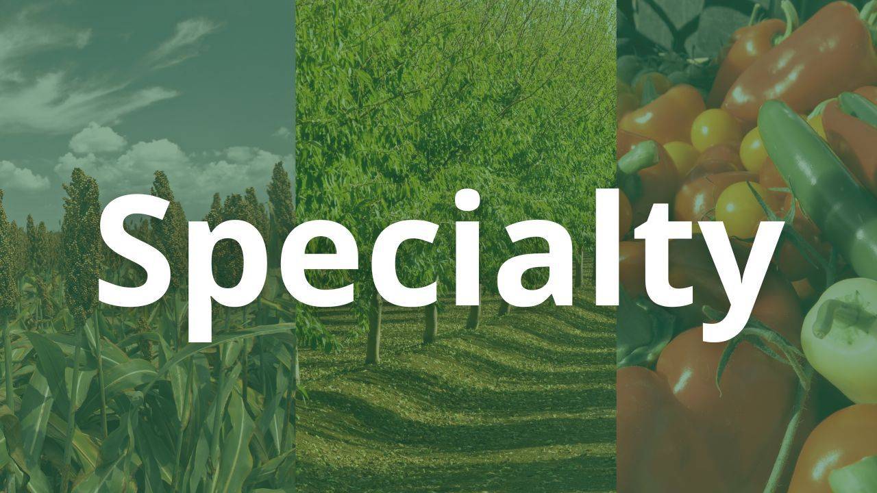 What should you know about specialty crops?