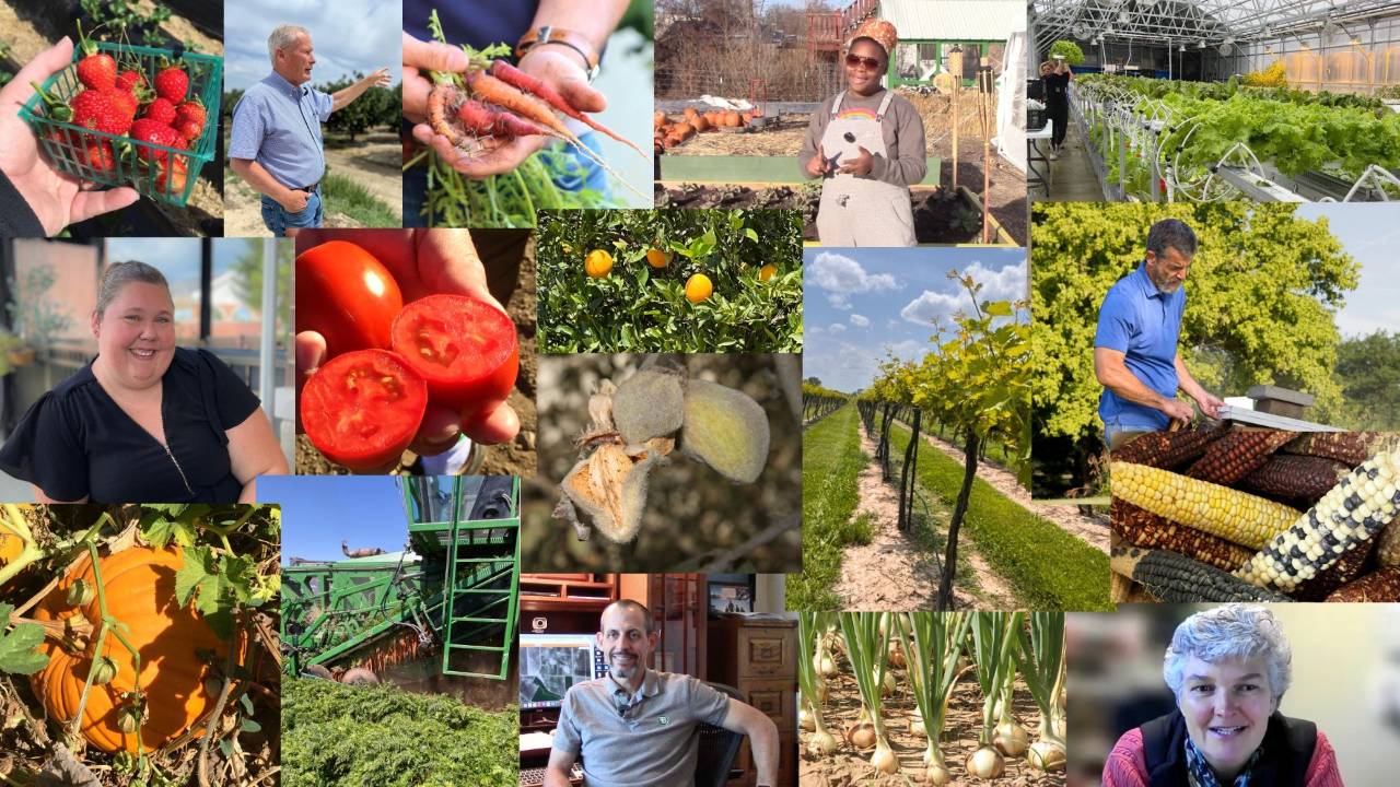 The Complexities of Specialty Crops Simplified in this New Course