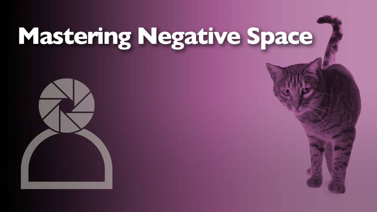 Embrace Negative Space in your photo compositions