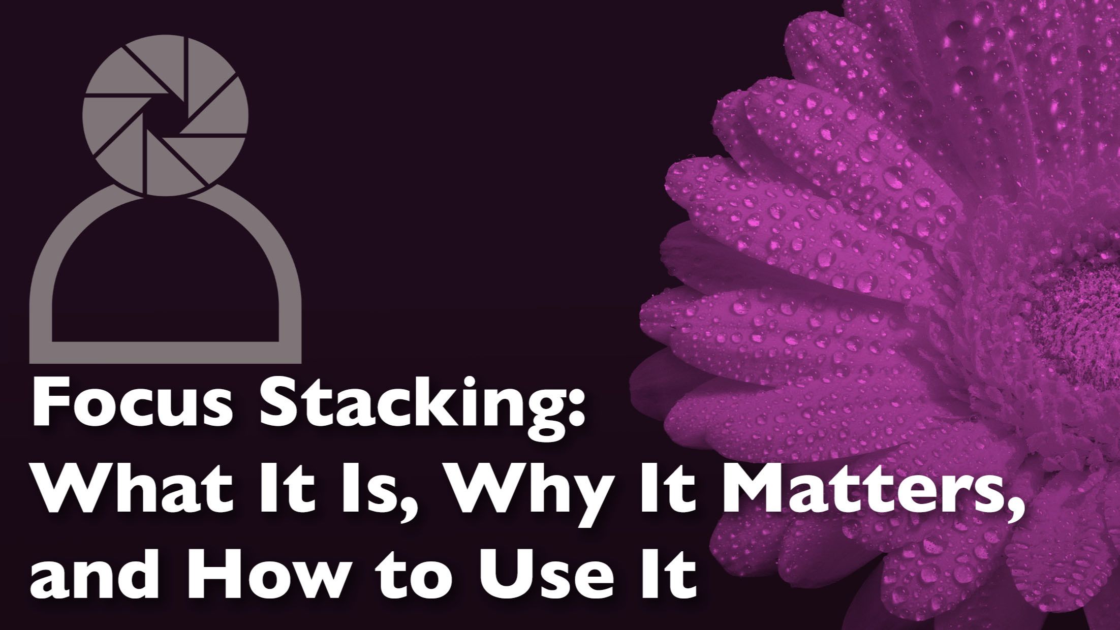 Focus Stacking in Photography: Why and How to Use It