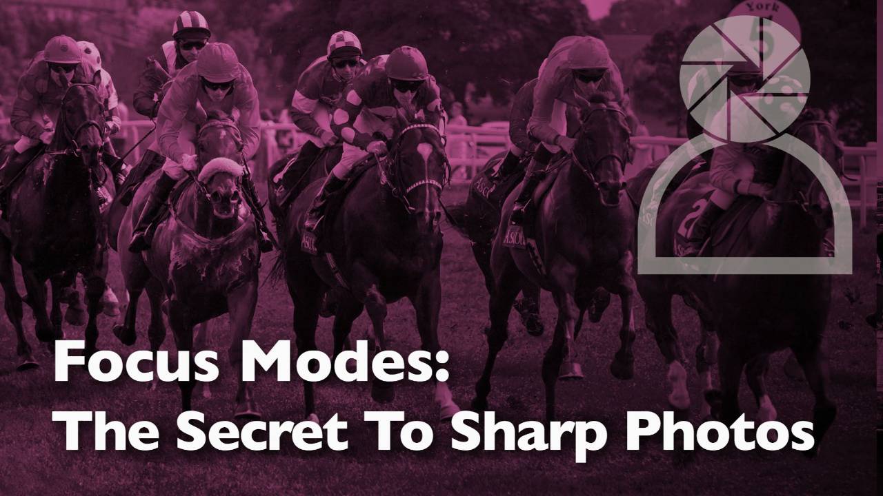 Master Focus Modes for Sharp, Clear Photos