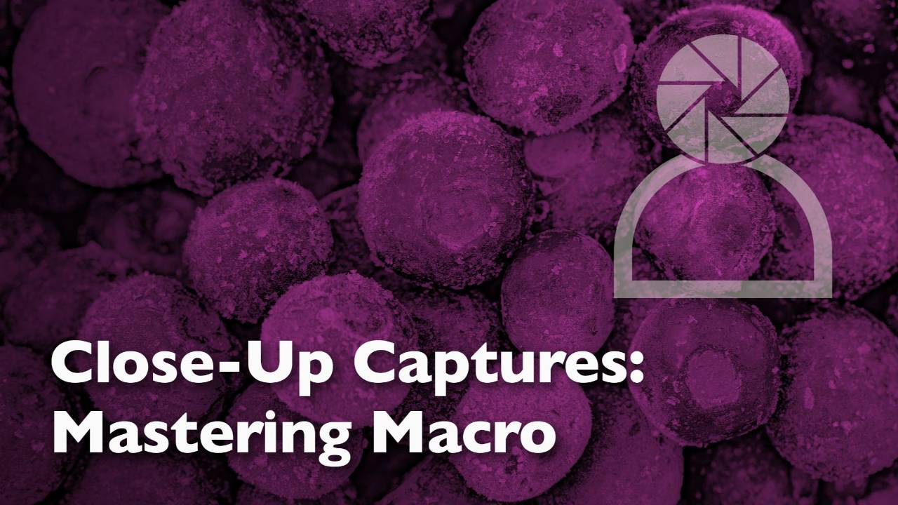 Mastering Macro & Close-Up Photography: Expert Tips & Techniques
