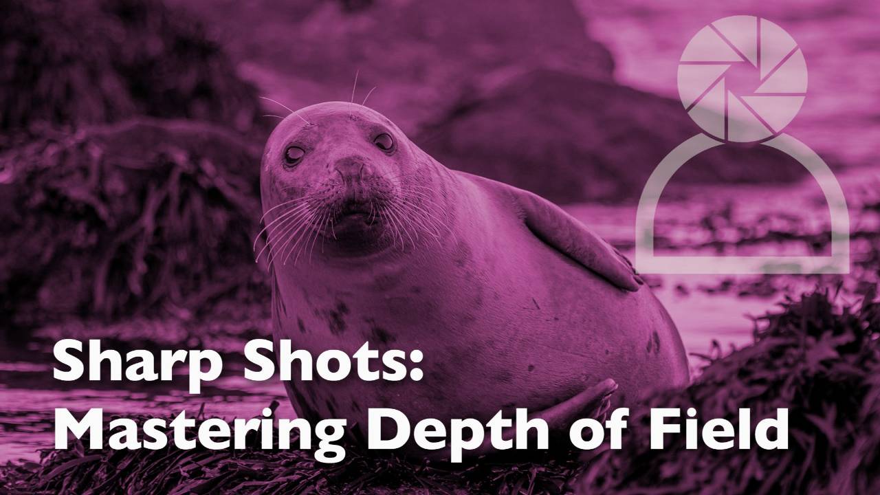 Sharp Shots: Mastering Depth of Field in Photography