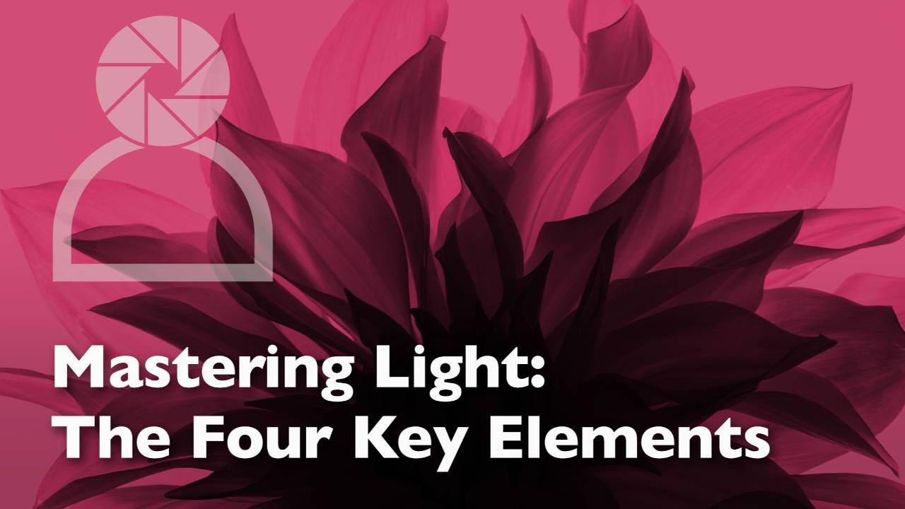 Mastering Light: The Four Key Elements of Photography