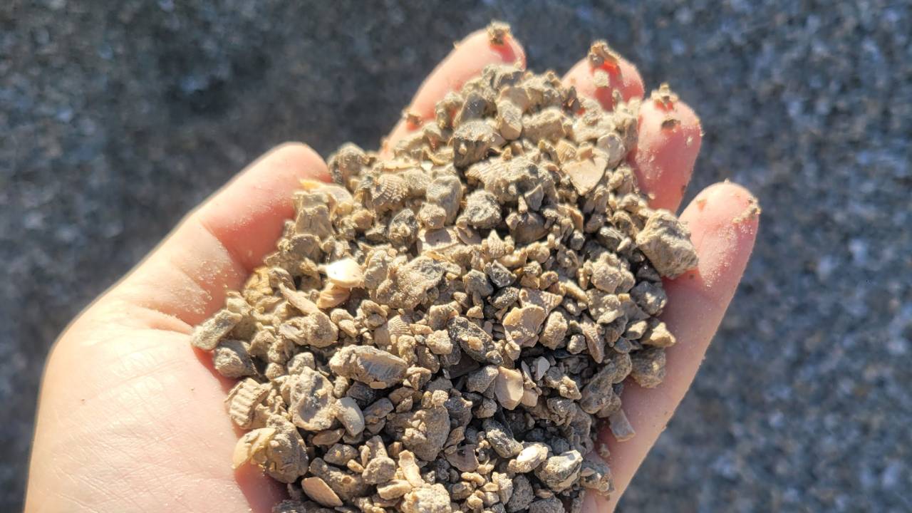 Aggragate Gradation Curves & Graphs