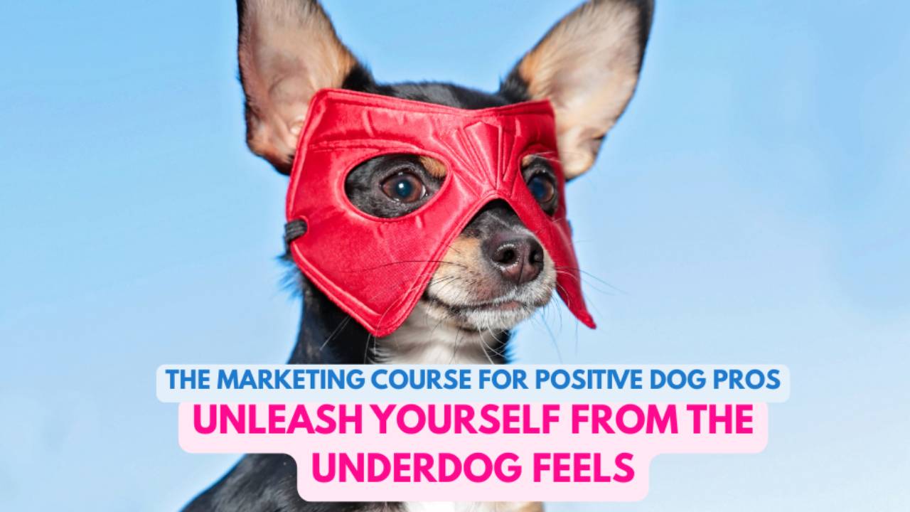 Underdogs Unleashed: The Course