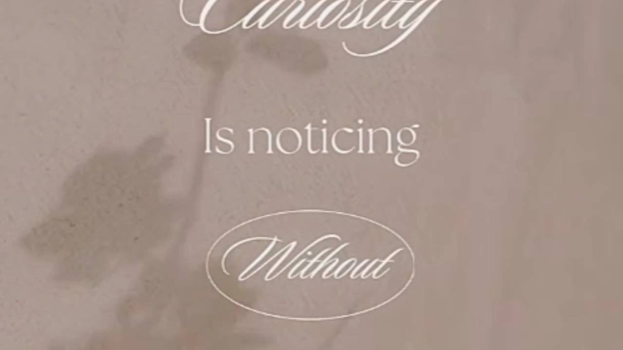 Curiosity is noticing without judgement.