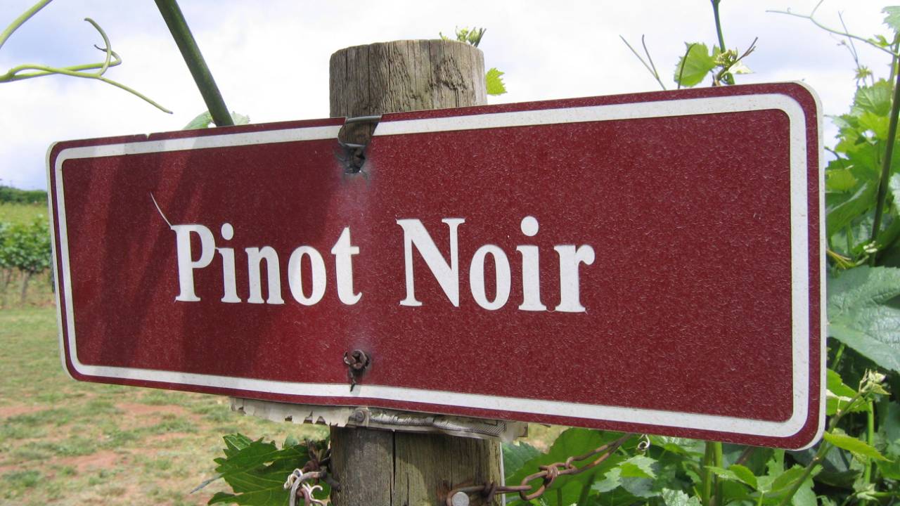 Los mejores Pinot Noir de España | Guía experta