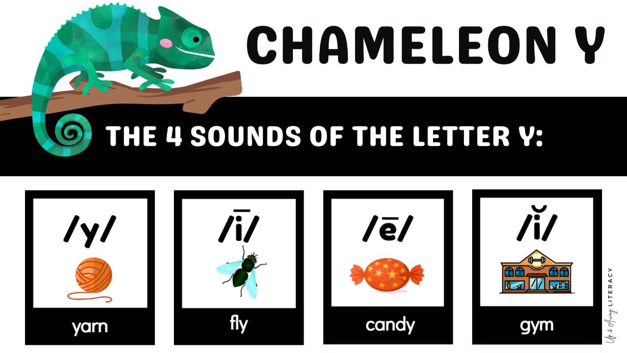 Chameleon Y Poster | Up & Away Literacy