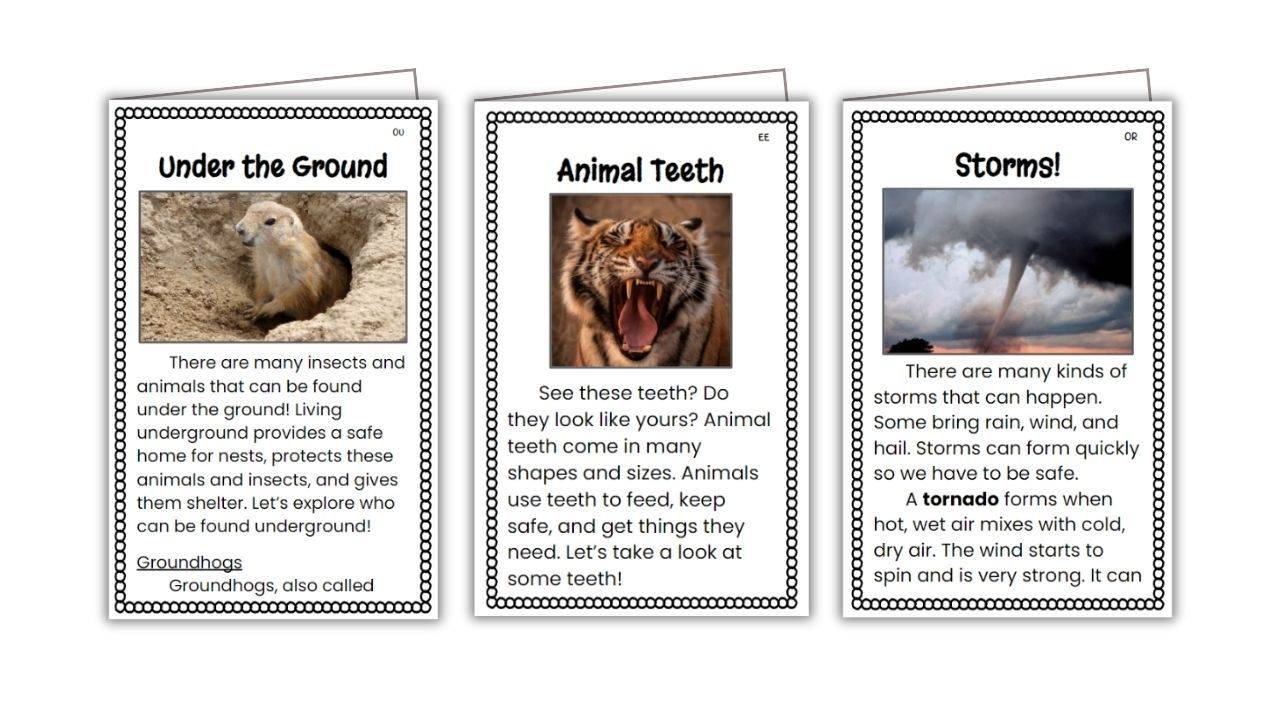 LIFT OFF! Nonfiction Decodable Readers- Level 2