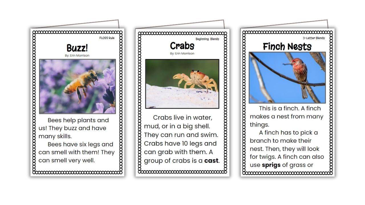 LIFT OFF! Nonfiction Decodable Readers- Level 1