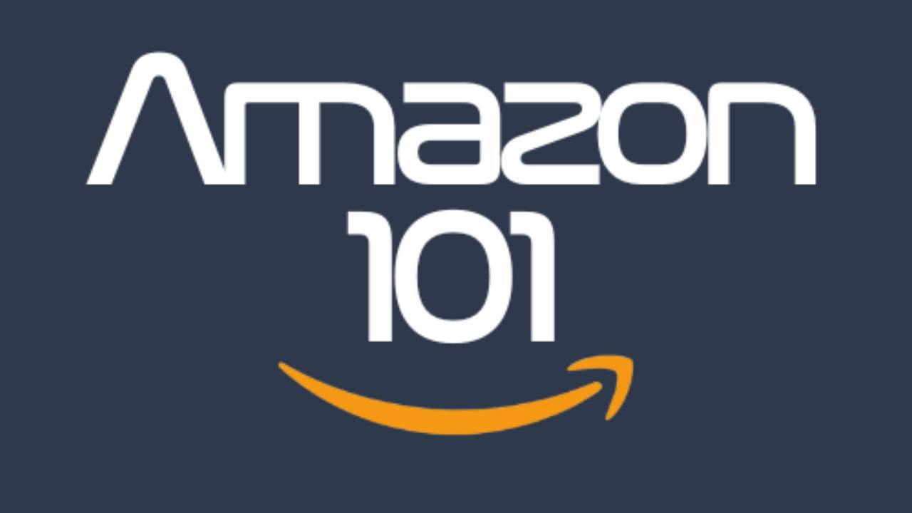 Amazon 101