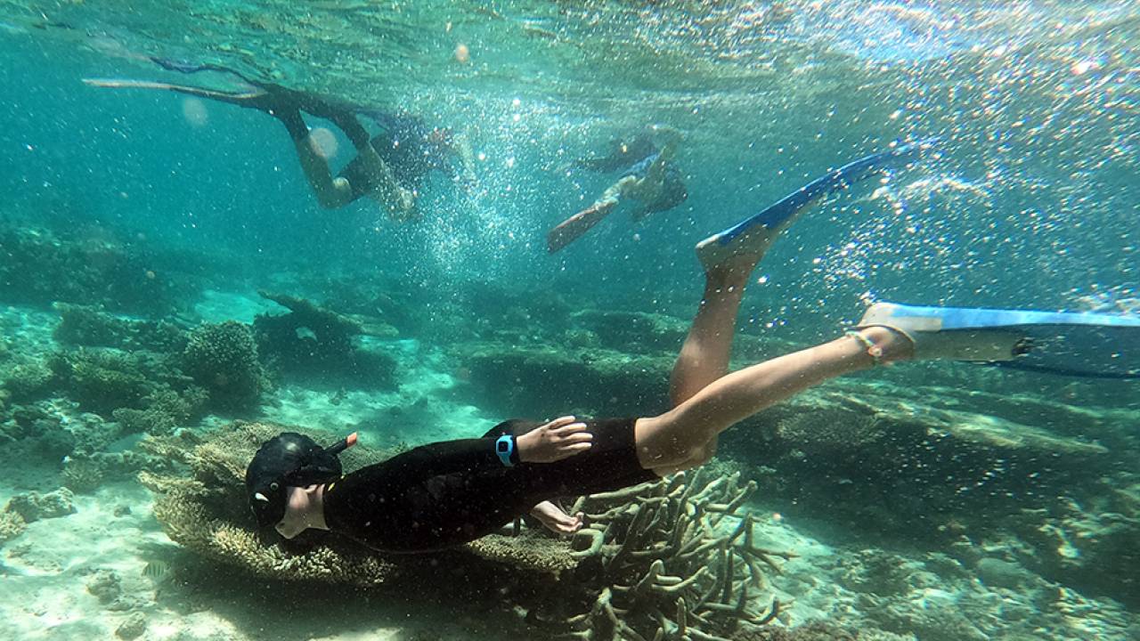 FREEDIVING WITH KIDS?