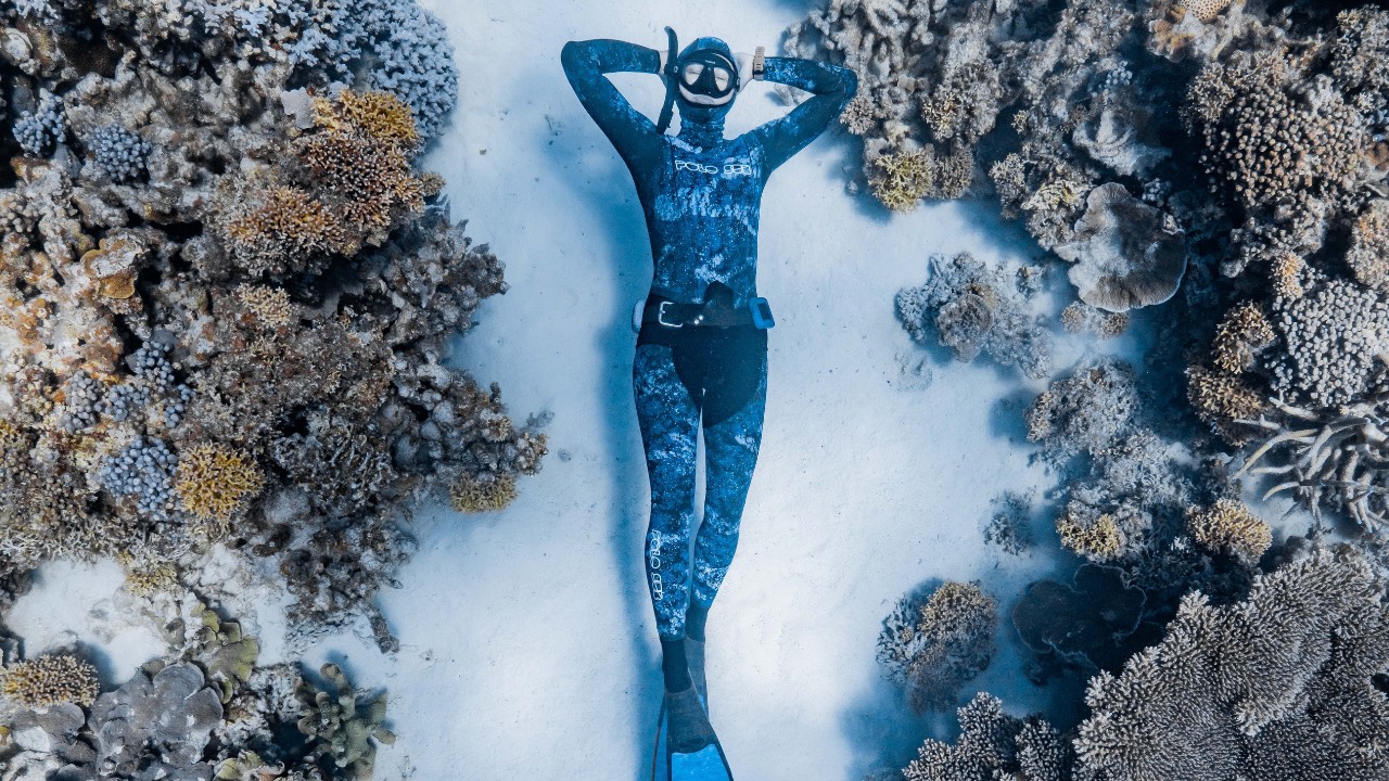 Deep Dive Into the Freedivers Exchange