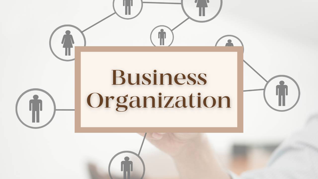 Business Organization
