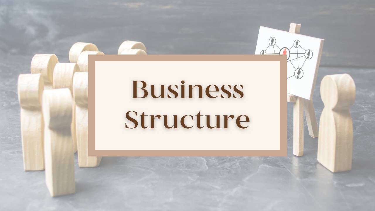 Business Structure